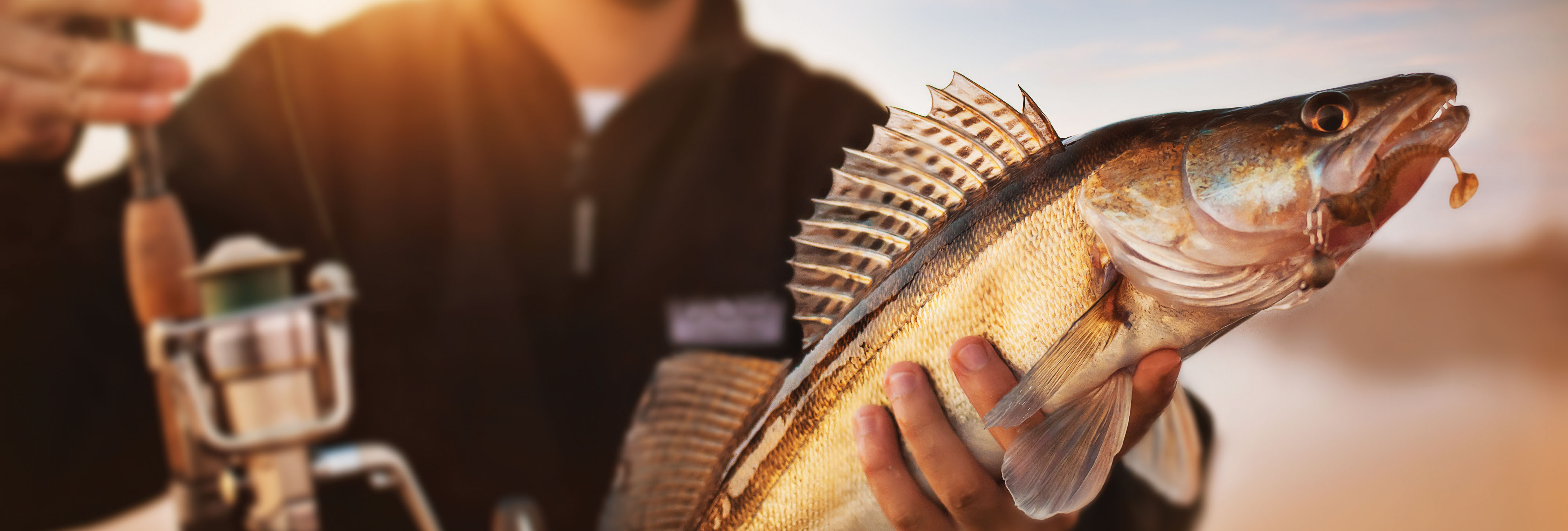 The 18 Types Of Fish You May Catch In Los Cabos | Blog