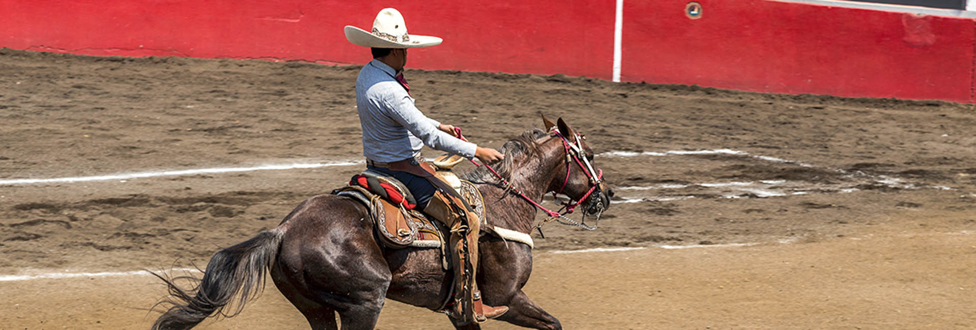 8th International Charro Championship 2019, Arena Vallarta