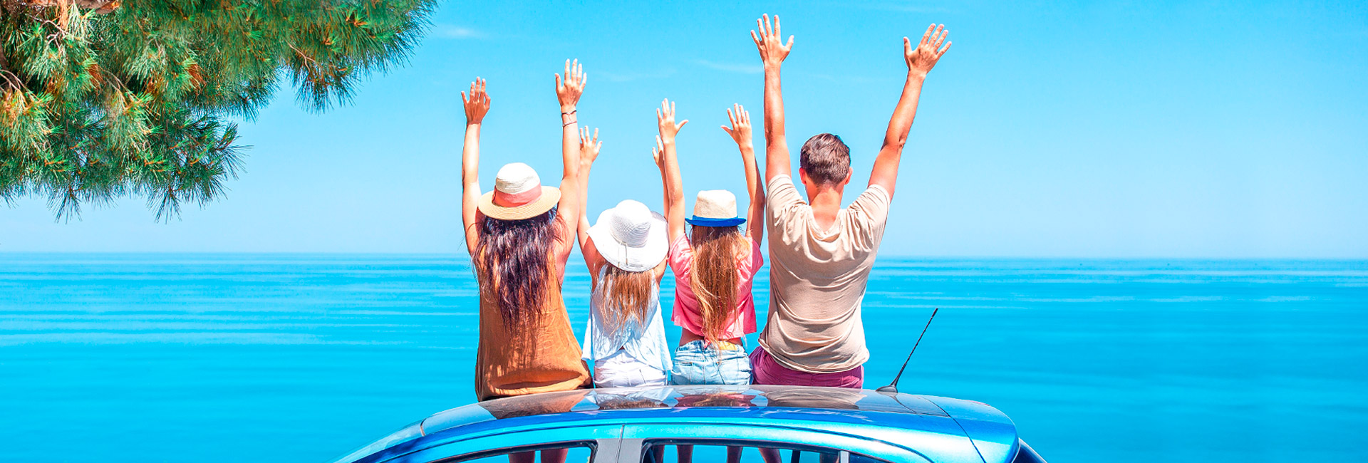 Cabo Transportation - How to Get Around | Consejos de Viaje